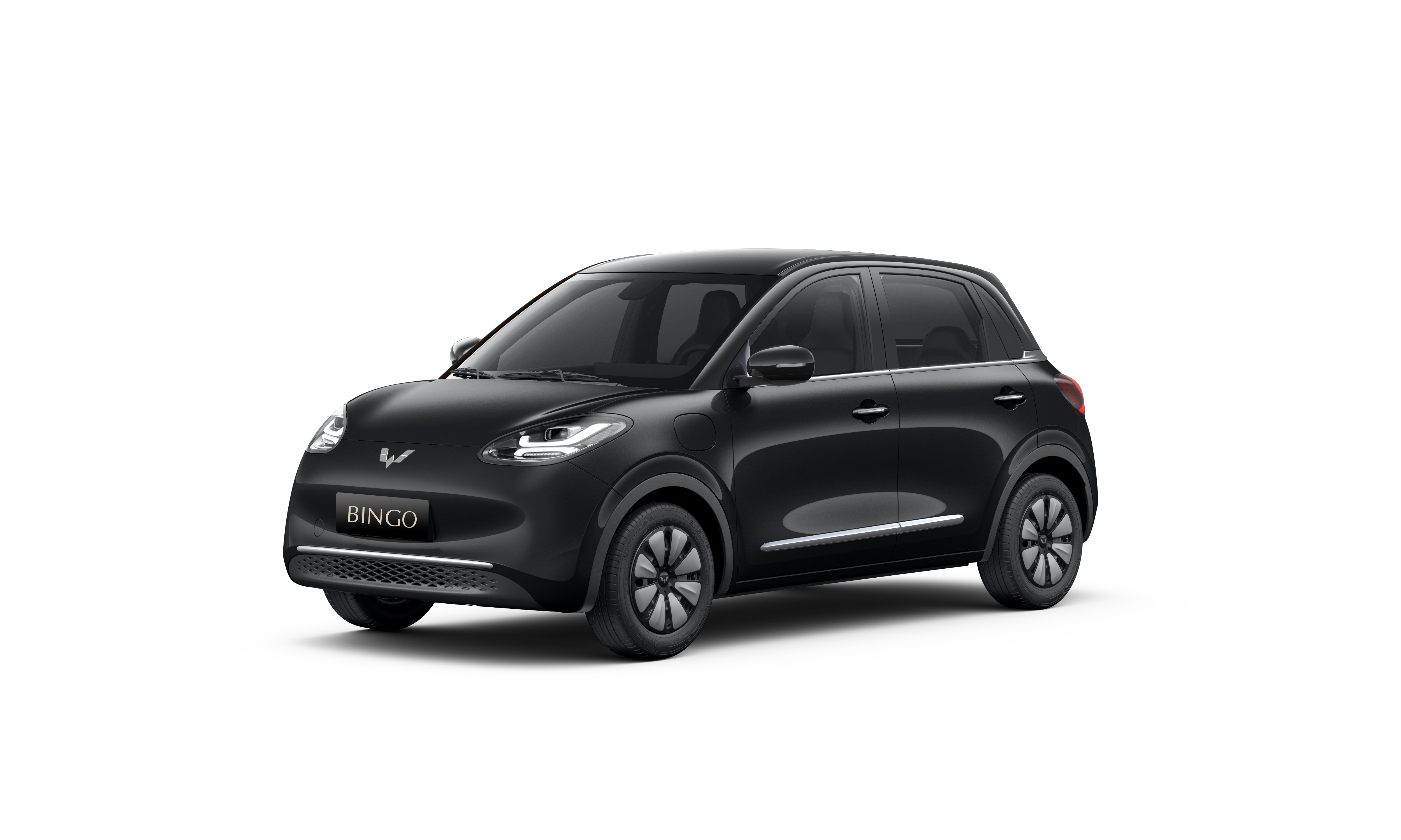 MiniEV